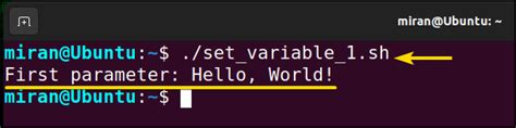 How To Use Set Variable In Bash Scripts 2 Examples LinuxSimply