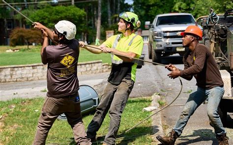 Southern Tree Pros Shares Tree Removal Safety Tips For Residents Of Atlanta GA Southern Tree Pros