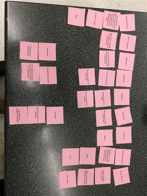 Evolution 8th Grade Science