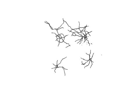 Issue When Plotting A Numeric Variable · Issue 350 · R Spatialmapview