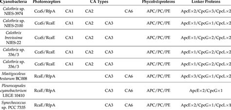 Co Existing Photoreceptors And Chromatic Acclimation Types Download Scientific Diagram