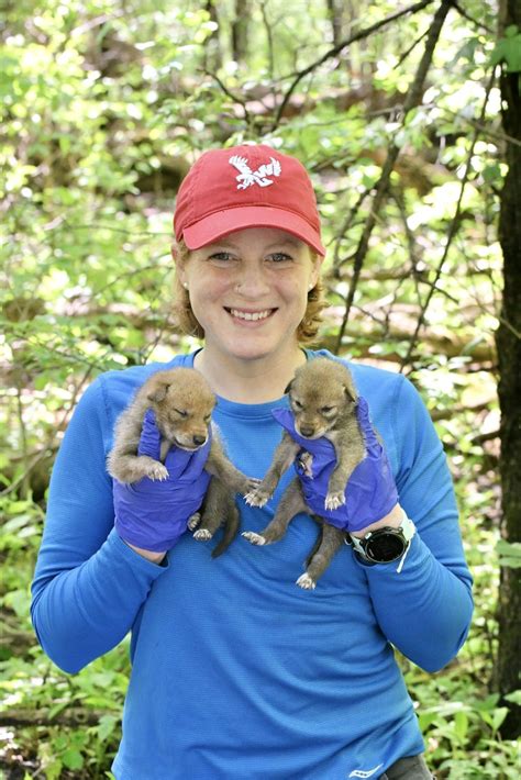 Former Students Rachlow Researchgroupmammalian Ecology And Conservation