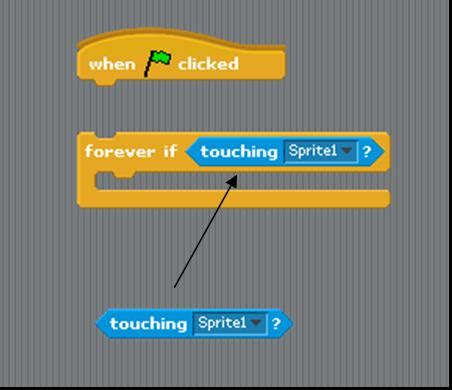 Scratch Exercise