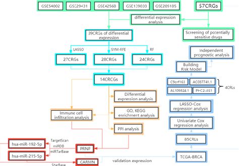 Figure 1 From Construct Cerna Network And Risk Model Of Breast Cancer
