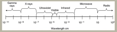 Force Waves Quantum Physics Flashcards Quizlet