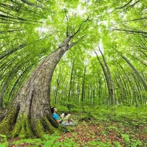 نورا ولولو للملابس