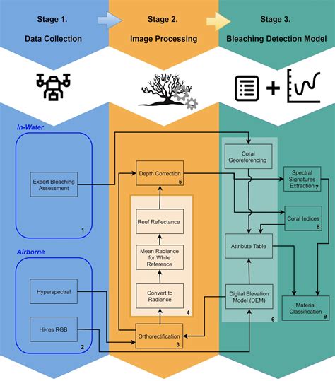 Using ML To Monitor Coral Reef Bleaching Sustainable Software