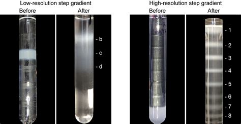 Isolation Of Mitochondria Derived Mitovesicles And Subpopulations Of Microvesicles And Exosomes