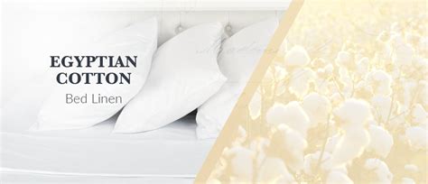 Egyptian Cotton Is Officially Making A Comeback Scoop Empire