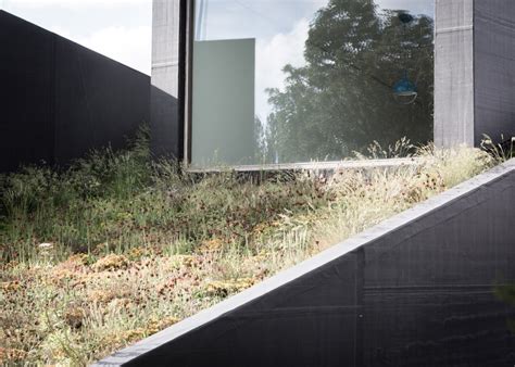 Oyos House Pibo Features A Sloping Green Roof And Split Levels