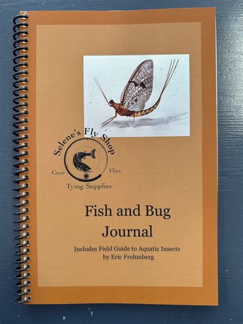 Bug Journal Fly Fishing Maine Fly Fish