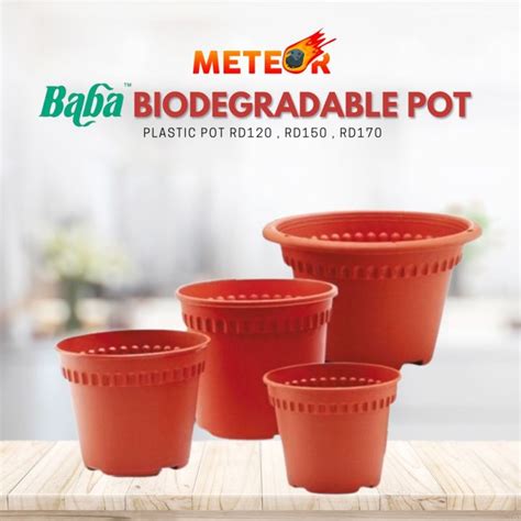 Baba Plastic Pot 3 Size Available Biodegradable Pot Lazada