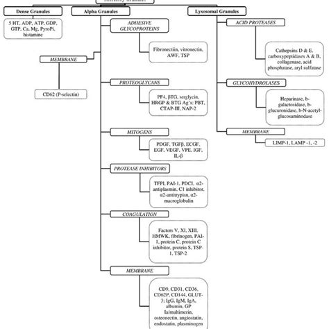 Main Compounds Of Platelets Secretory Granules Download Scientific Diagram