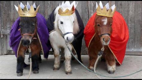 The Twelve Neighs Of Christmas And Winter Light Bethan Youtube Music