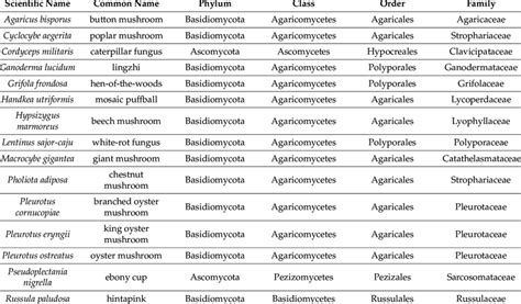 Taxonomic Classification Of Mushrooms That Are Sources Of Bps Belonging