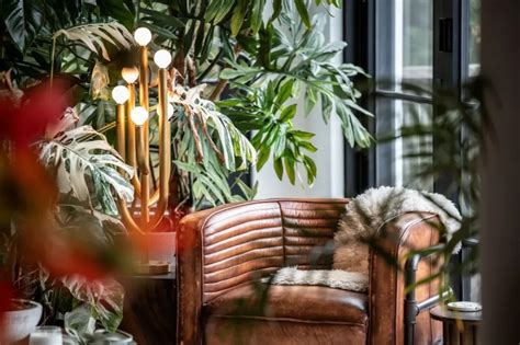 Cómo Crear Un Rincón Natural Y Relajante Con Plantas De Interior