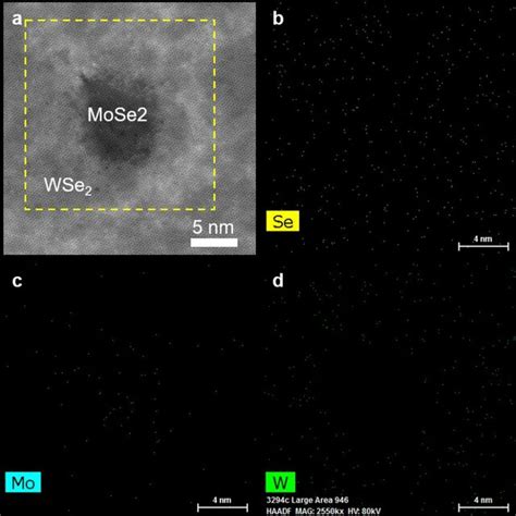A Atomic Resolution Adf Stem Image Of Unencapsulated Mose 2 Wse 2