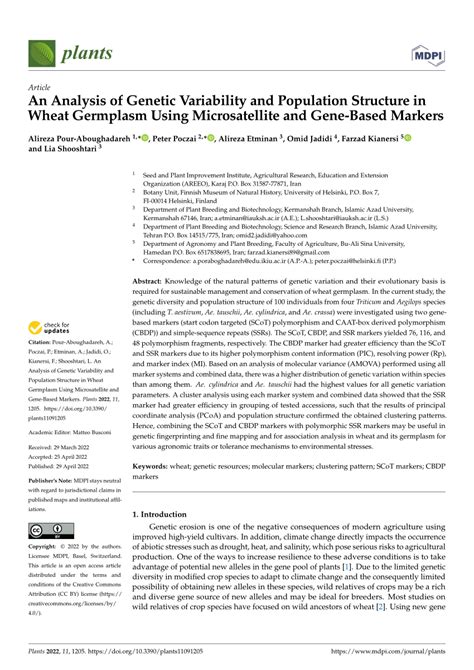 Pdf An Analysis Of Genetic Variability And Population Structure In