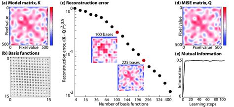Reconstructing A High Rank Quadratic Filter Using Stimuli Extracted