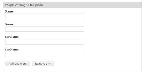 Forms Add Multiple Fields In Add More Button Causes Problem In
