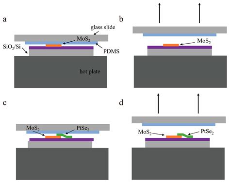 Highly Responsive And Self Powered Photodetector Based On Ptse2 Mos2