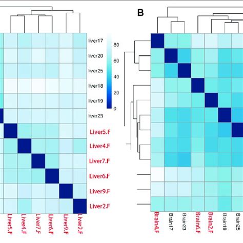 Persons Correlation For All Samples In Liver A And Brain B Download Scientific Diagram