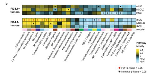 跟着 Nature Communication 学作图 热图 格子注释 通路富集相关 知乎