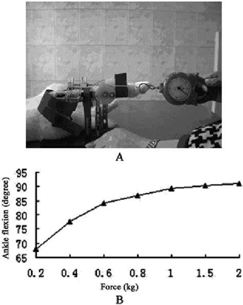 Measurement Of Passive Rom At The Ankle Joint A Device For Measuring
