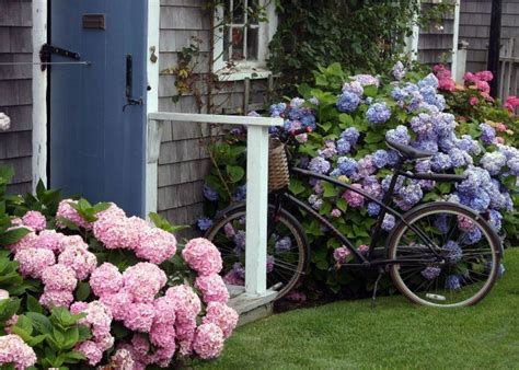 Discover The Best Islands In Massachusetts For Your Next Adventure