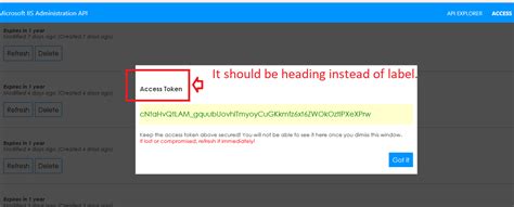 Usability A Y Manage IIS Net Access Token Access Token Is Visually Appearing As A Heading