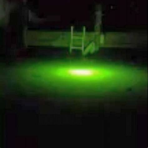 Fish Porn Fishingpicss Twitter