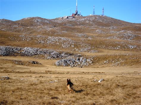 Staze I Bogaze Vlašić Bih Vrh Paljenik 1933m I Dom Na