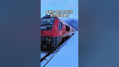 이색적인 국내기차여행 베스트6 백두대간협곡열차 정선아리랑열차 해운대블루라인파크 섬진강기차마을 서해금빛열차 기차여행