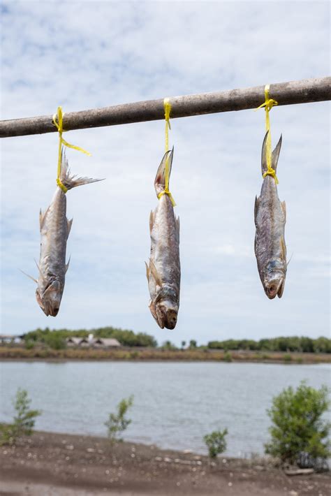 Parallel World The European Review Of Books