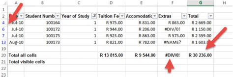 Summing Visible Cells Only • Za • Advanced Excel