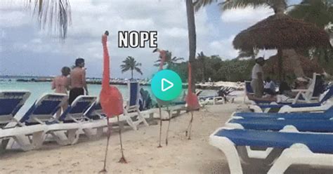 When On Vacation With Your Friends  On Imgur