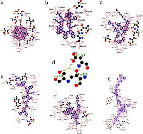2d interaction plot between the lmit1 pocket and selected inhibitory