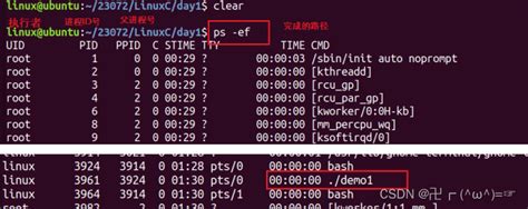 linuxc总结 csdn博客