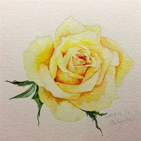 이 밤이 다 가기전에🌙 장미 노란장미 그리기 그림 꽃그림 수채화 감성수채화 수채일러스트 수채화일러스트
