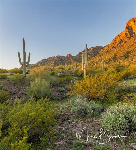Picacho Peak Usa