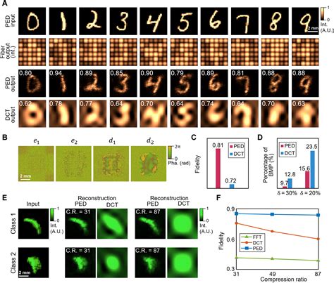 Photonic unsupervised learning variational autoencoder for high-throughput and low-latency image ...