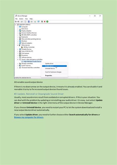 no output input devices found pdf