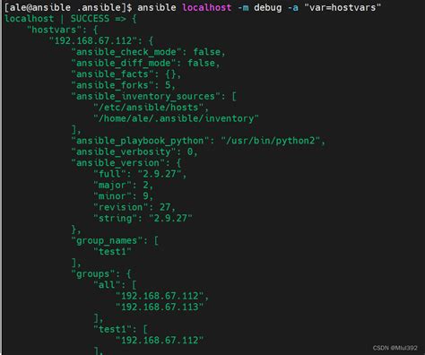 ansible中的变量及加密 ansible hosts文件加密 csdn博客