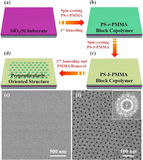 Schematics And Morphology Characterizations Of Self Assembly Of Download Scientific Diagram