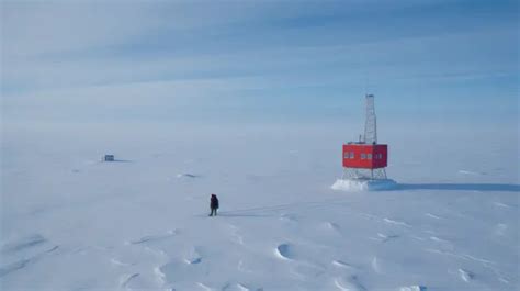 60 유정 무료 다운로드 사진 그림 및 배경 이미지 Pngtree