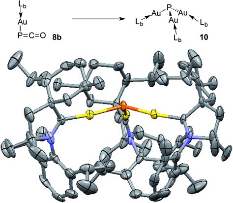 Conversion Of 8b To Lbau 3p 10 And Solid State Structure Of 10 50