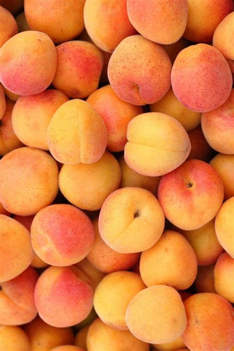 Top 6 Fruits High In Potassium And Other High Potassium Food Feel