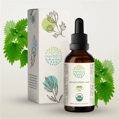 Stinging Nettle Leaf Tincture Supports Joint And Mobility Herbera