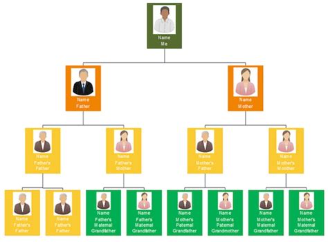 Hr Organization Structure And Chart Examples Types Ssr