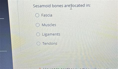 Solved Sesamoid Bones Arefocated